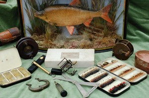 Types of Taxidermy Kits - Taxidermy Hobbyist